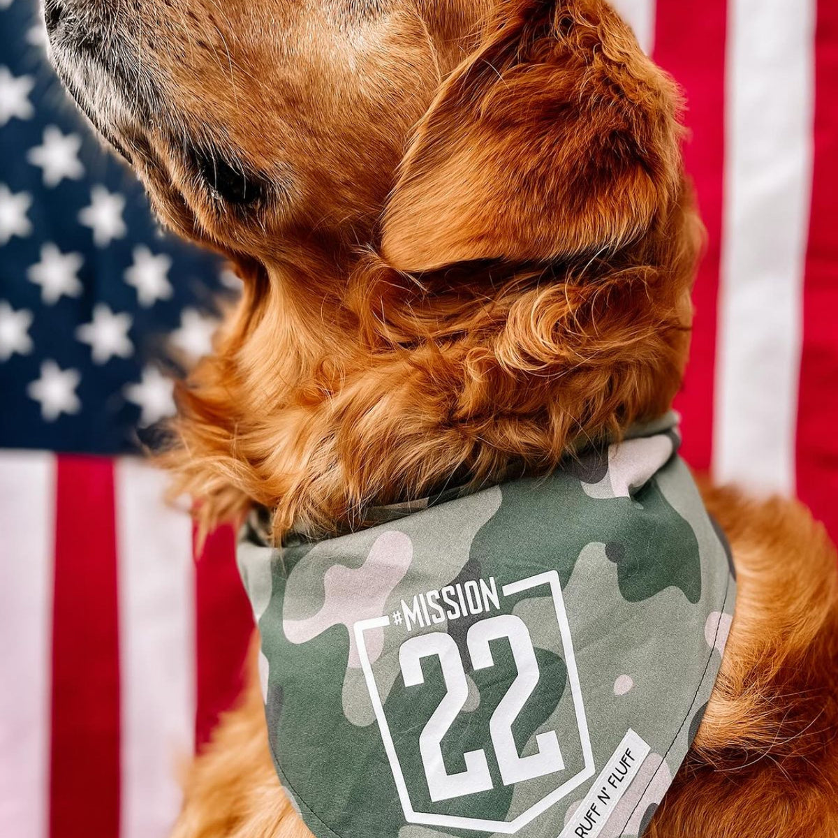 USA All Day Collection – Ruff N’ Fluff Co.