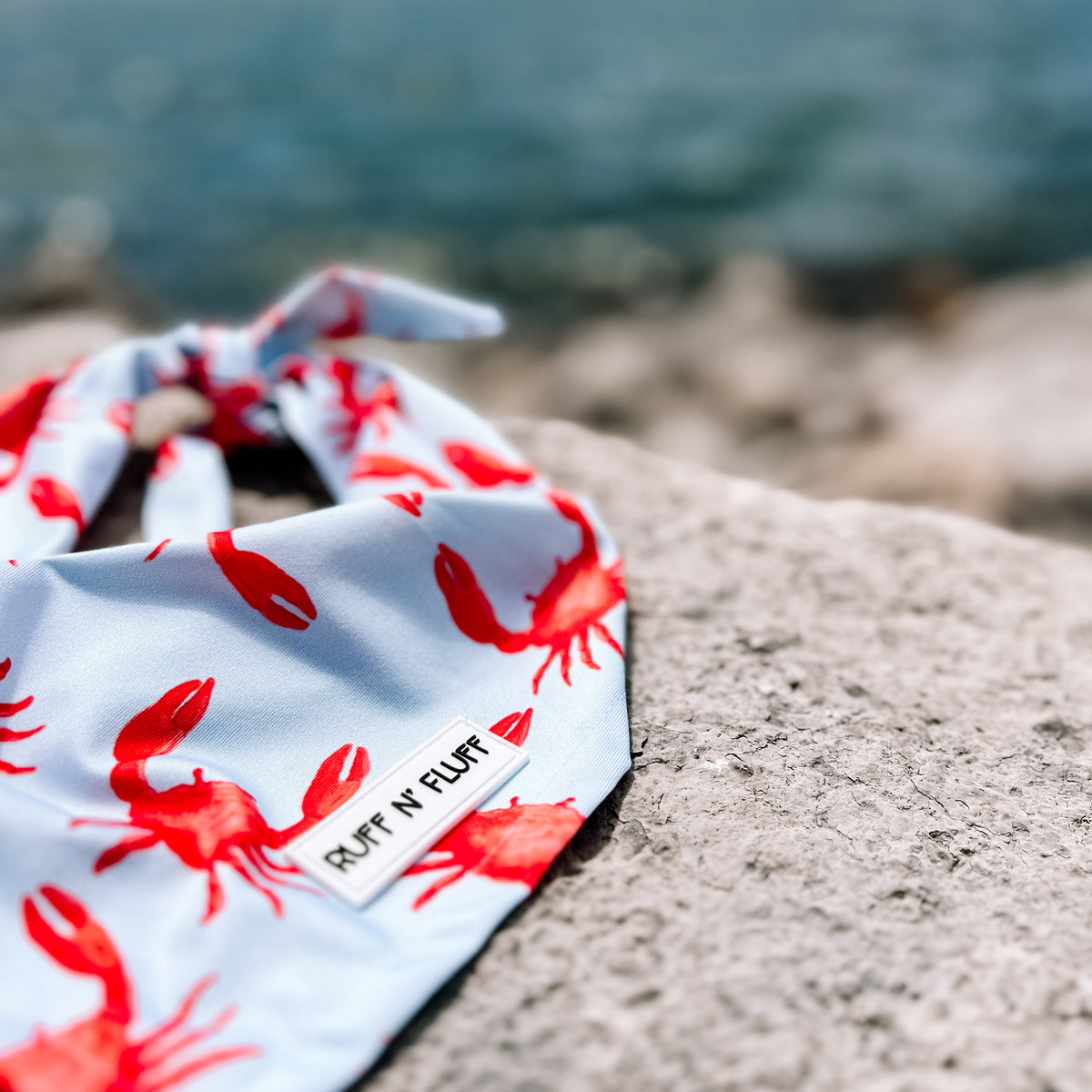 Coastal Summer 2024 – Ruff N’ Fluff Co.