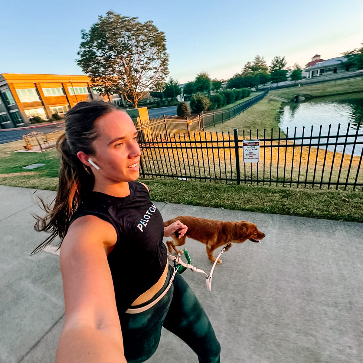 The Harper System (All in One) – Ruff N’ Fluff Co.