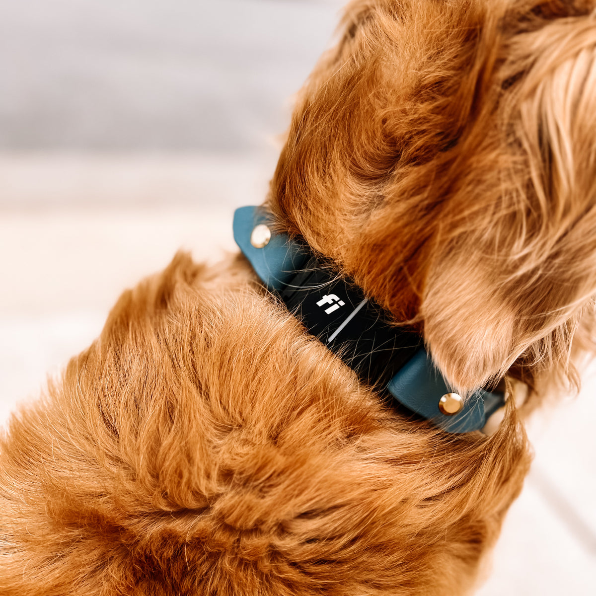 Fi End Links – Ruff N’ Fluff Co.