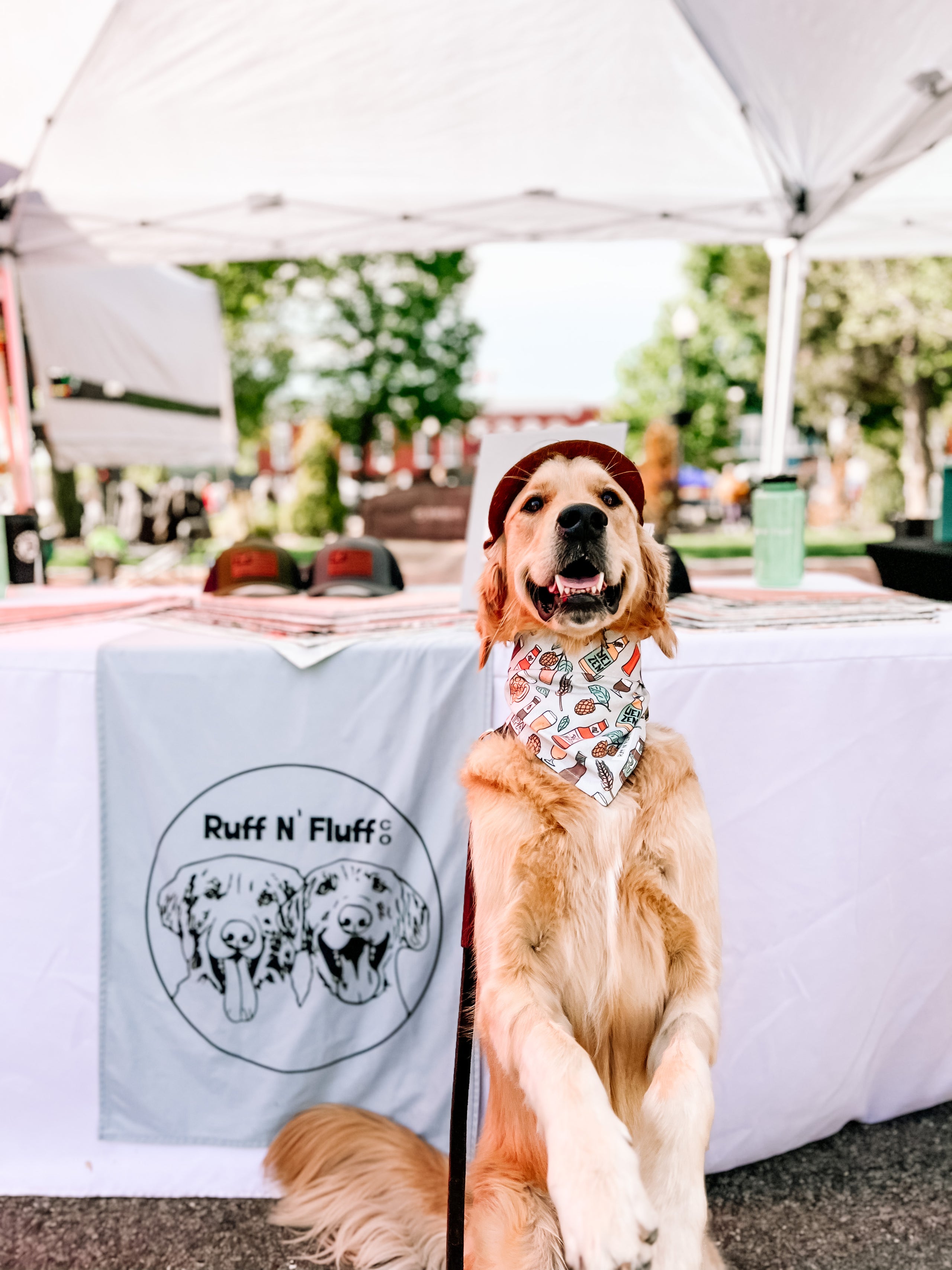 Fi End Links - Collar + Fi Device Sold Separate – Ruff N’ Fluff